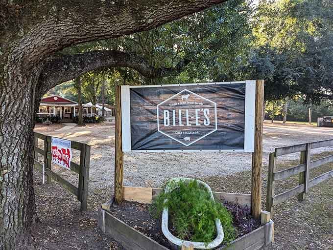 The welcoming sign promises cold libations and pig little bites, which is exactly the kind of honesty we appreciate.