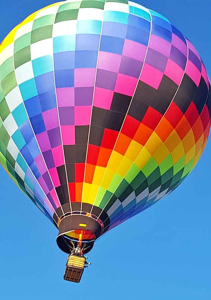 Against that perfect blue canvas, the rainbow pattern pops like a Rubik's Cube solved by Mother Nature herself.