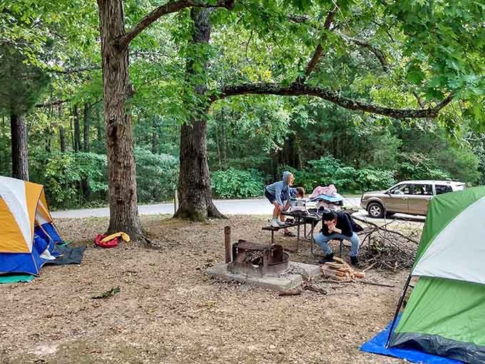 Campers gather around the fire ring, proving the best accommodations sometimes come with tent poles.