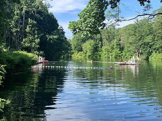 Peaceful waters reflect the surrounding forest, creating mirror images that double your natural beauty quota.