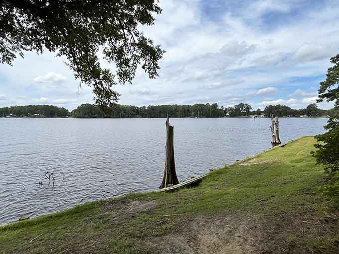 Waterfront views where the only thing moving faster than the clouds is absolutely nothing at all.