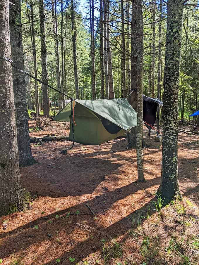 Hammock camping among the pines lets you sleep suspended between earth and sky like some blissful forest astronaut.