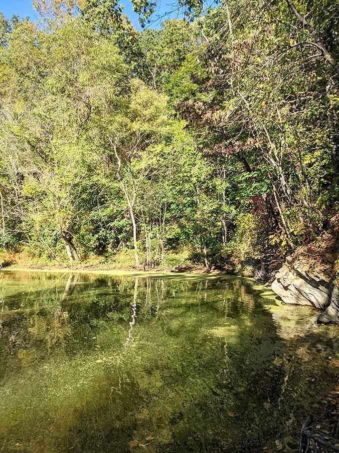 Autumn transforms the pond into a mirror reflecting gold and amber&mdash;Instagram filters could never compete with this.