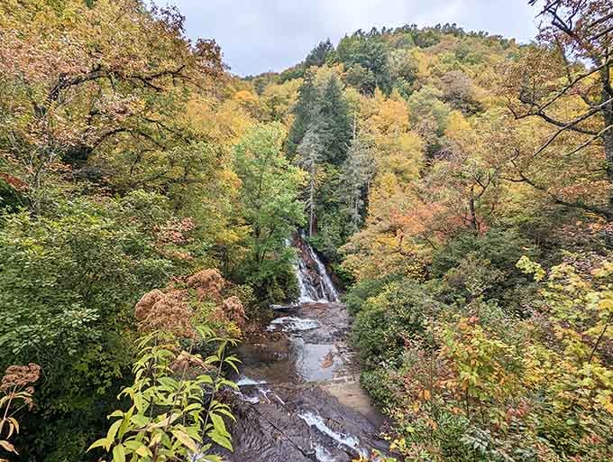 Autumn waterfalls surrounded by foliage that makes every smartphone camera think it's suddenly a professional photographer.