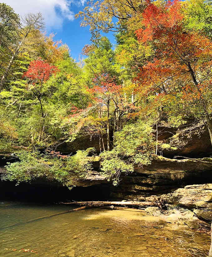Fall foliage turns the rock shelter into a frame worthy of any museum wall.