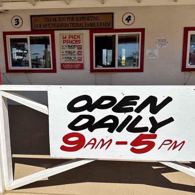 Open daily from 9 AM to 5 PM, giving you plenty of time to plan your berry-picking expedition.