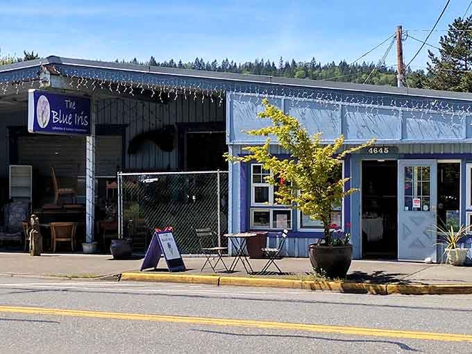 Blue Iris Vintage sits quietly on main street, holding decades of stories in every piece inside.