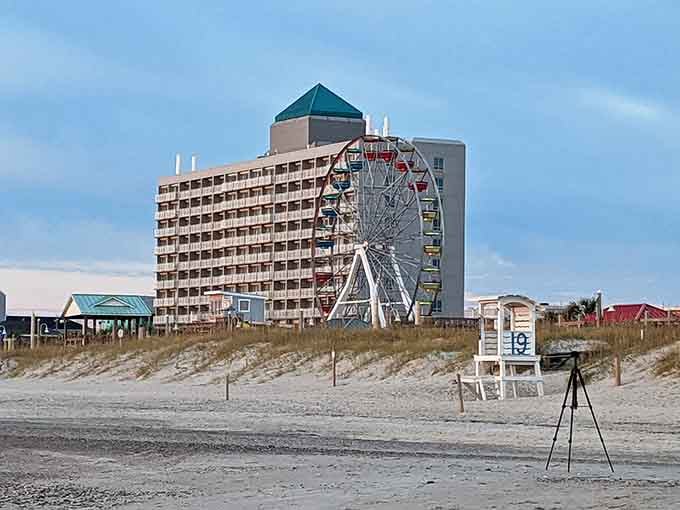 Beachfront hotels frame the iconic wheel perfectly, creating that postcard-worthy scene you'll want to capture from every possible angle.