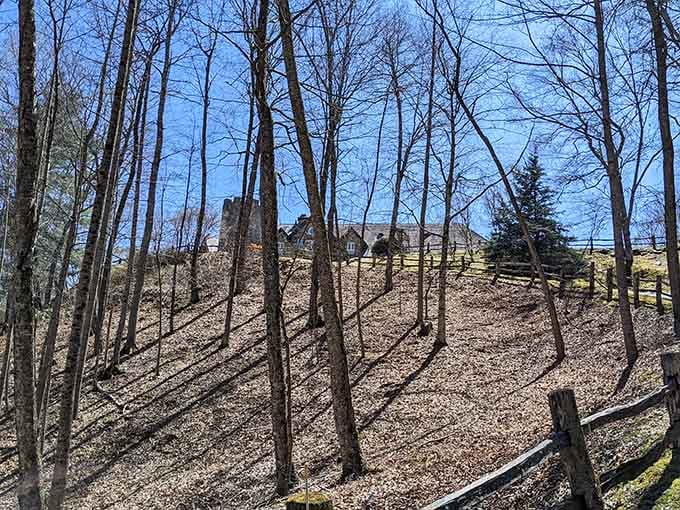 The castle peeks through the trees like a secret waiting to be discovered by adventurous souls.