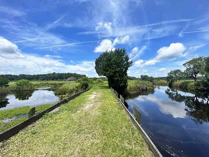 Rice field dikes now serve as scenic walkways, where water on both sides reflects clouds like nature's own mirror.