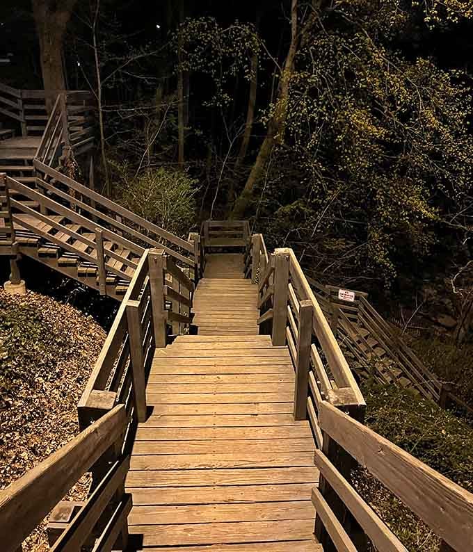 Evening illumination transforms the waterfall into something magical, perfect for those who prefer their nature with mood lighting.