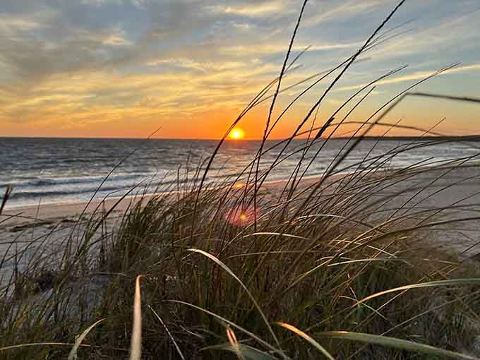 Harding's Beach sunset through sea grass, nature's way of showing off and making every smartphone photographer feel like Ansel Adams.