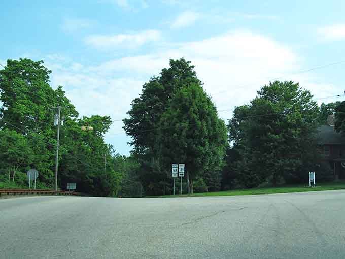Trees create natural tunnels of green, transforming your drive into something that feels almost magical and timeless.