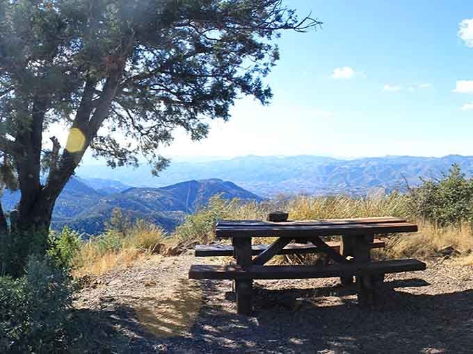 Pack a lunch, claim this picnic table, and dine with a view that beats any restaurant.