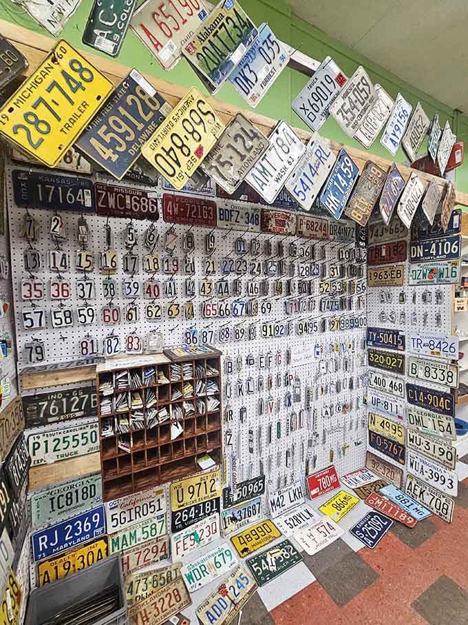 License plate collectors, prepare to lose your afternoon hunting for that one missing state.