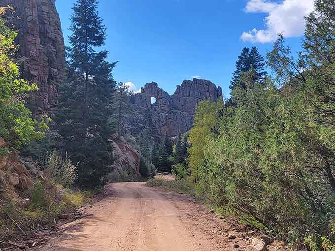 Shelf Road winds through rock formations that make you grateful someone else did the original trail-blazing with actual axes.