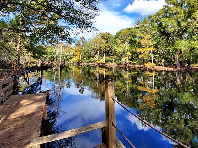 Mirror-perfect reflections double the beauty of this cypress-lined waterway where nature provides the best special effects.