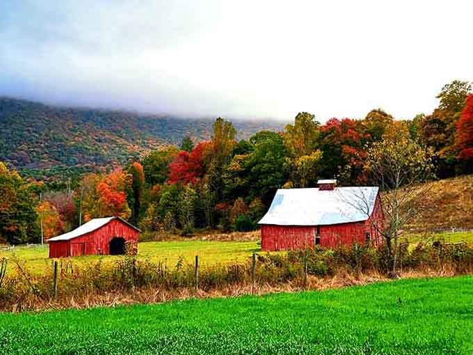Those weathered red barns against autumn's blazing palette could make even a city slicker consider taking up farming.