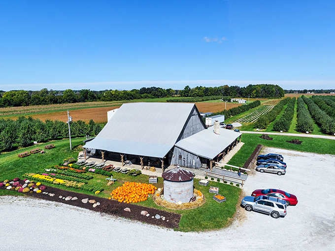 Beasley's Orchard spreads across the countryside like a postcard, offering pumpkins, apples, and memories by the bushel every season.