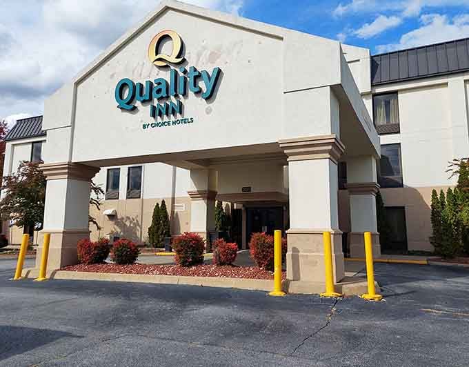 Clean, comfortable lodging where your wallet doesn't weep after checking in for the night, imagine that.