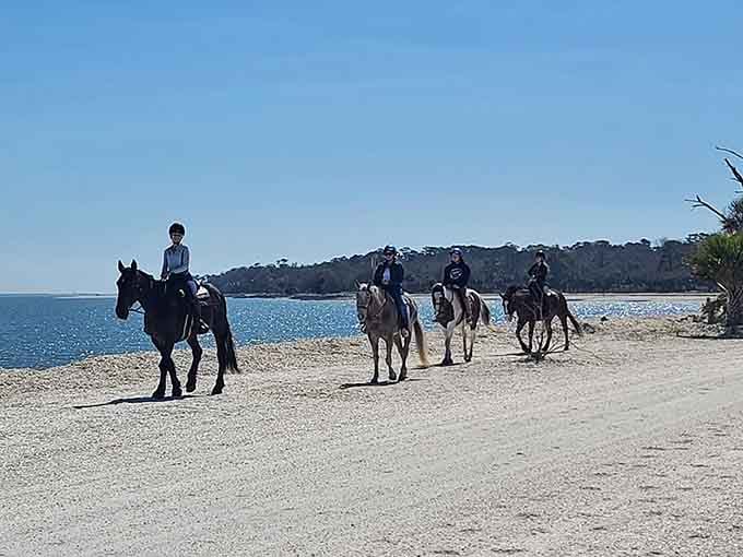 Horseback riding along pristine beaches offers a perspective that golf carts simply can't match, hoofprints replacing tire tracks in sand.