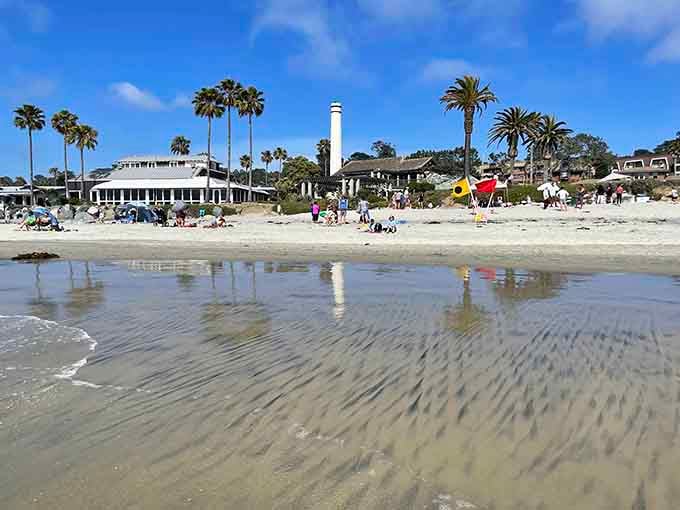 Classic California beach scene: sand, surf, and families making memories that'll last way longer than sunburns.