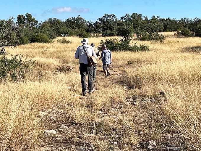 Guided walks through golden grasslands where the journey matters just as much as the destination, maybe even more so.