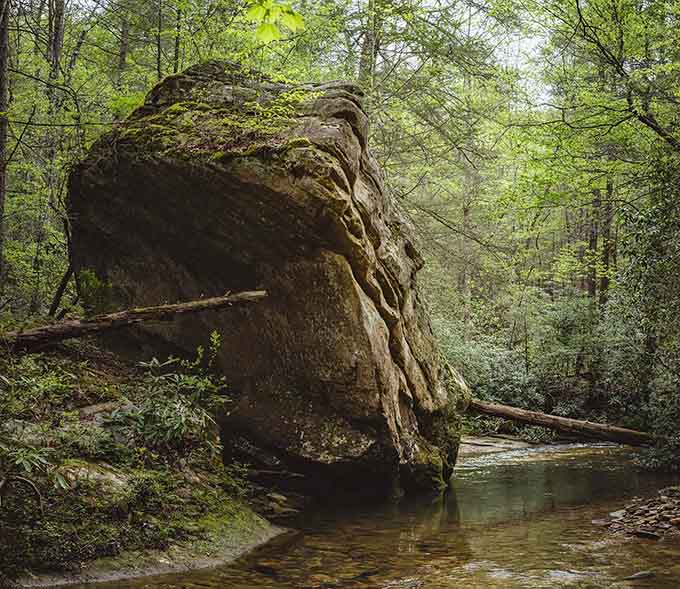 Ancient rock formations twisted by time into sculptures that make modern art look downright ordinary.