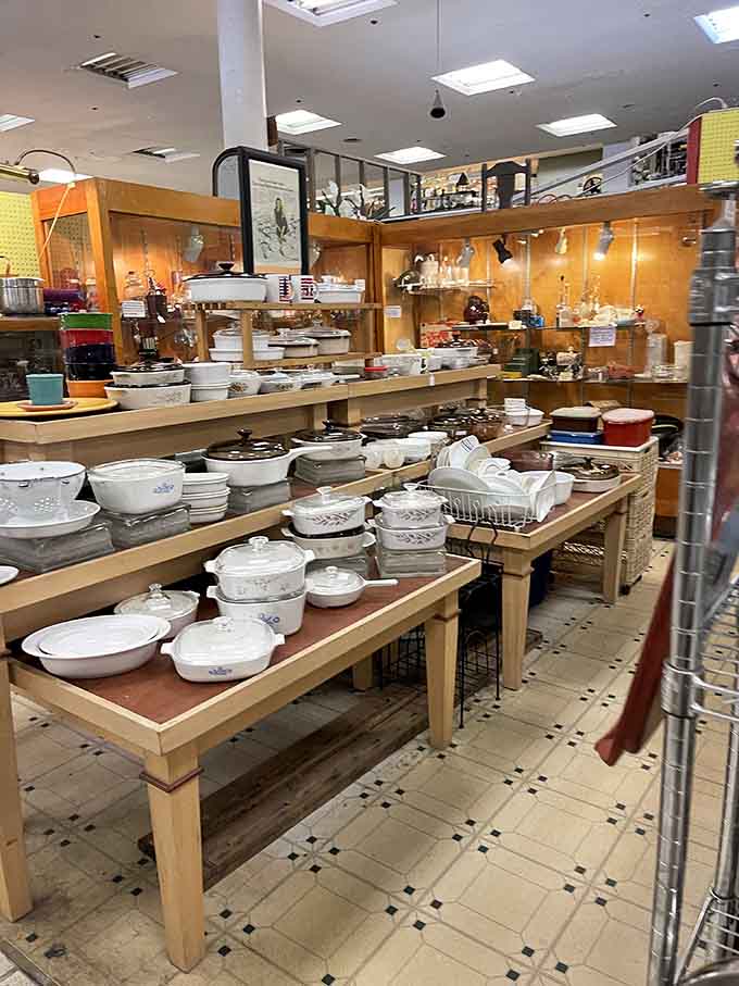 Kitchenware displays showcasing dishes and serving pieces that actually survived family dinners without chipping into oblivion immediately.