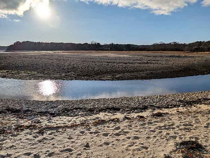 Sunlight dances across the exposed harbor floor at low tide, creating mirror-like pools that reflect the sky's brilliant canvas.