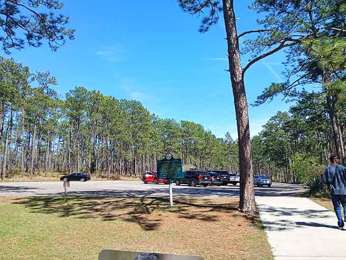 The parking area on a beautiful day, proving some Floridians actually know this hidden gem exists already.