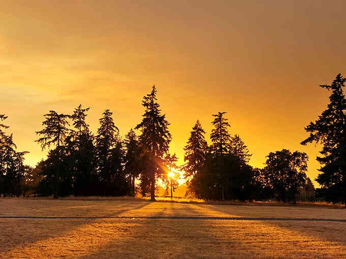 Sunsets at Fort Steilacoom Park paint the sky in colors that make you stop whatever you're doing.
