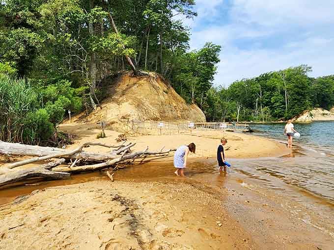 Families create memories here that last longer than most souvenirs, hunting treasures together along this remarkable Virginia shoreline.