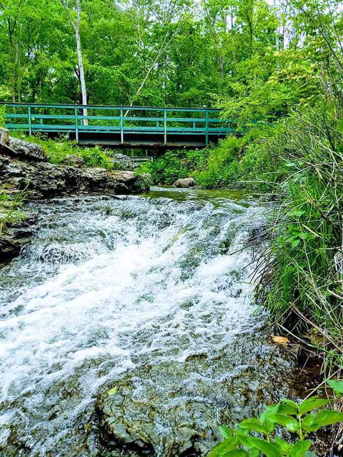 Spring runoff turns gentle streams into rushing showcases of nature's raw power and timeless beauty here.