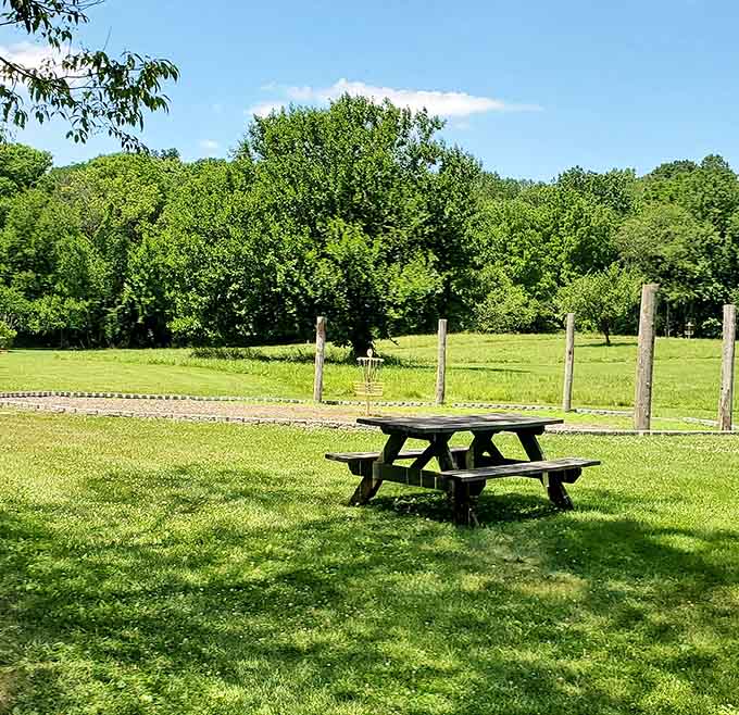 Your picnic table awaits in this grassy paradise where the biggest decision is sandwich first or exploring the trails.