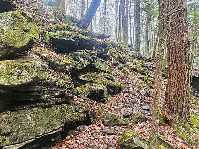 Rock formations draped in moss create natural sculptures that no museum could ever properly replicate.