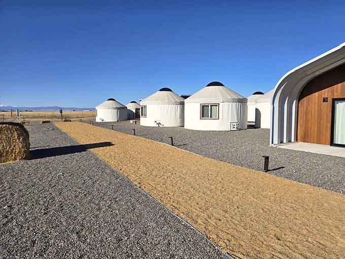 The yurt accommodations look like something from a desert resort, except better because there's a drive-in attached.