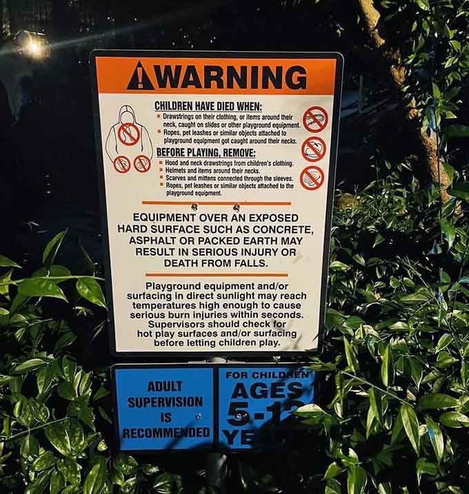 Safety warnings remind everyone that adult supervision keeps the fun going without any unwanted emergency room visits.