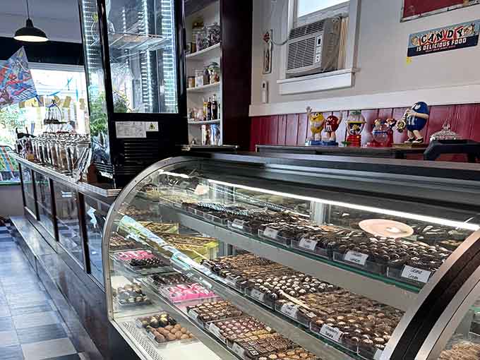 Tracey's Candy Shoppe showcases handmade chocolates in gleaming cases, temptation organized in neat, irresistible rows.