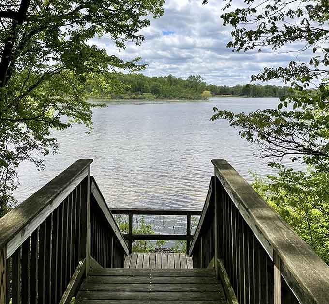 The view from this platform whispers what we all need to hear: slow down, look closer, breathe deeper.