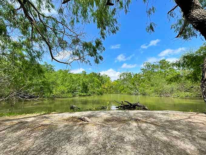 Hugh Ramsey Nature Park offers world-class birding and natural beauty right in town, because Harlingen doesn't do anything halfway.