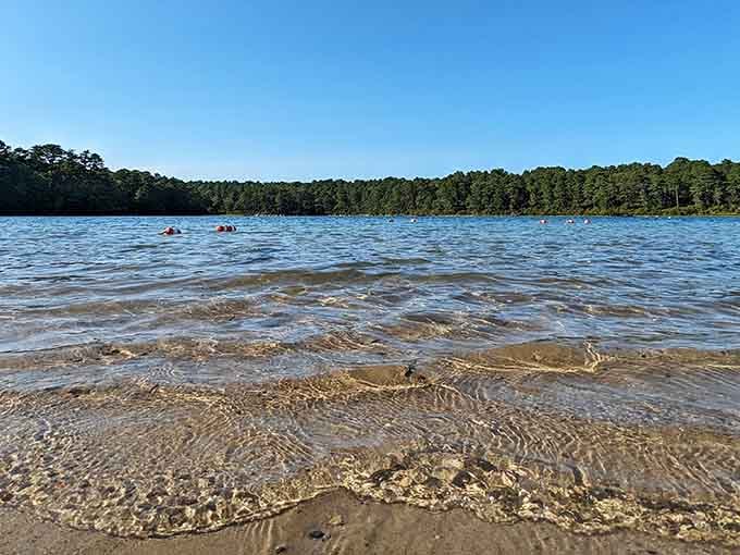 The shoreline's gentle slope welcomes swimmers of all skill levels without playing favorites or judging.