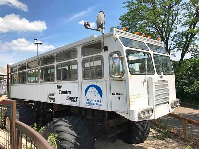 The Tundra Buggy sits ready to transport visitors into Arctic adventures without the frostbite risk involved.