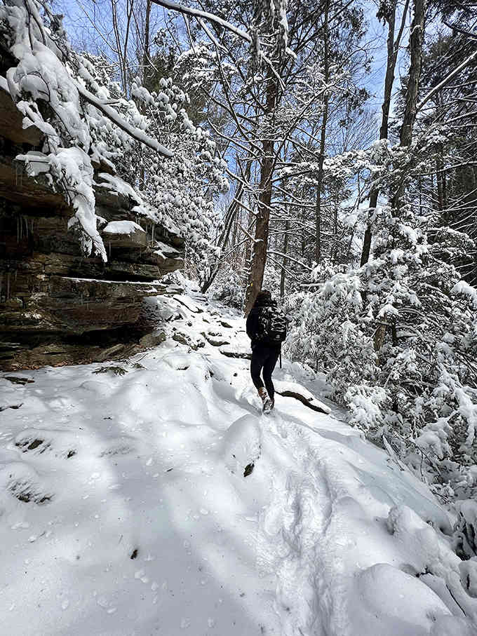 Winter transforms familiar trails into a snow-globe scene, proving this park delivers four completely different experiences annually.