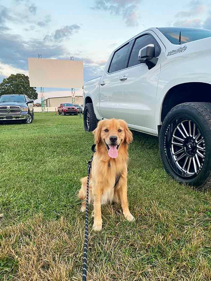 Even the family dog gets to join movie night, because drive-ins welcome everyone with four legs too.