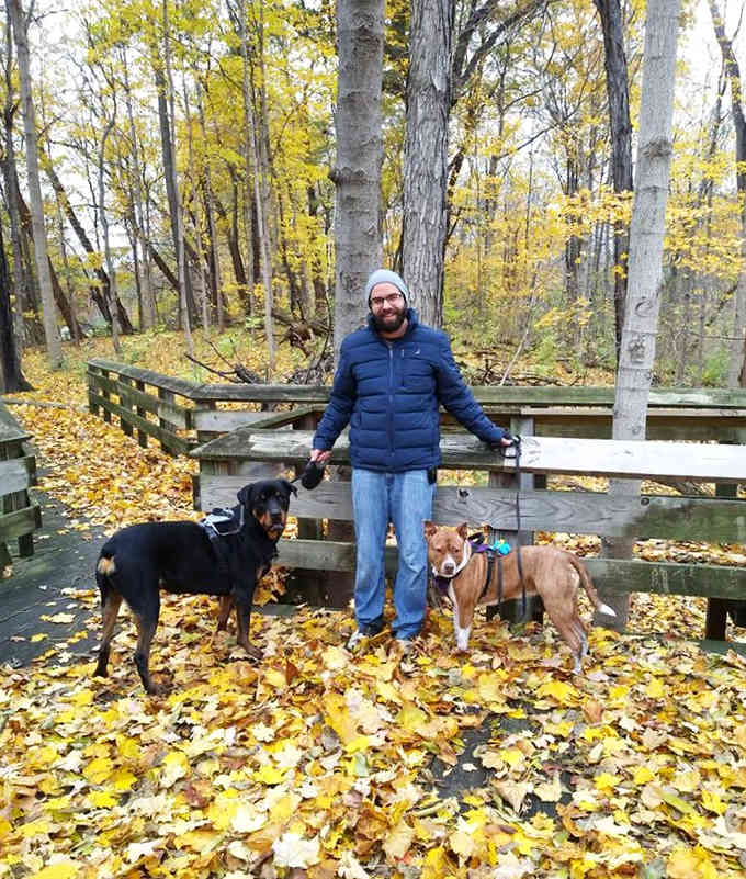Dogs and their humans enjoying nature together, proving leash laws can't diminish pure canine joy and enthusiasm.