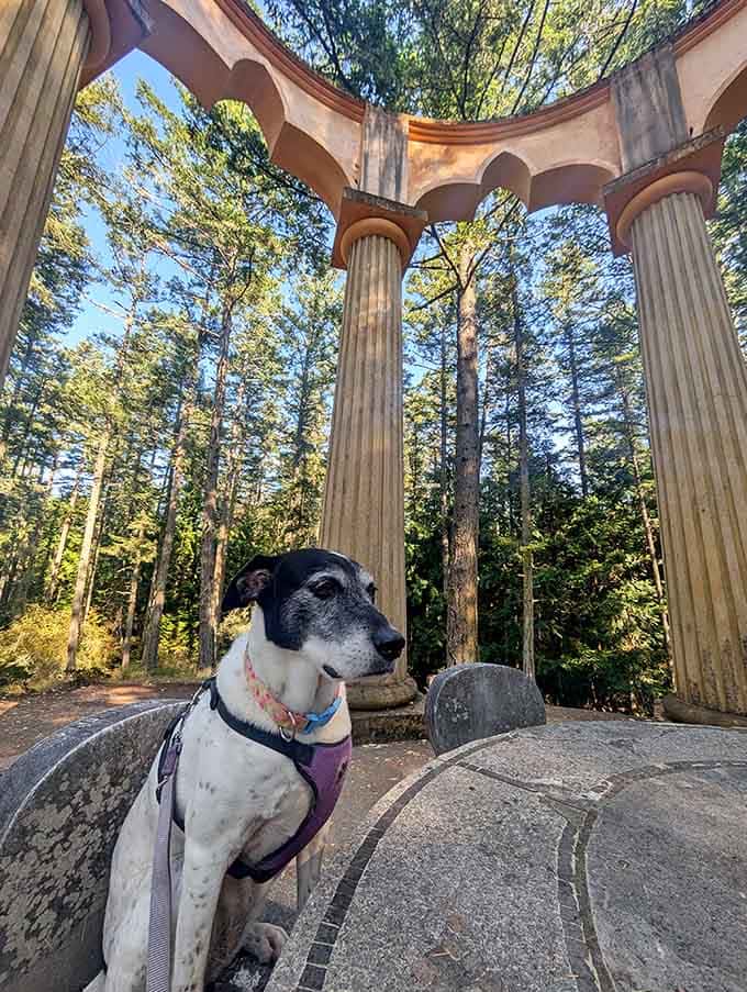 Even four-legged visitors appreciate fine architecture, proving good design transcends species and requires no formal training.