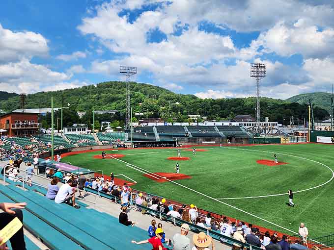 Point Stadium brings minor league baseball to town, where ticket prices won't require a second mortgage or selling plasma beforehand.