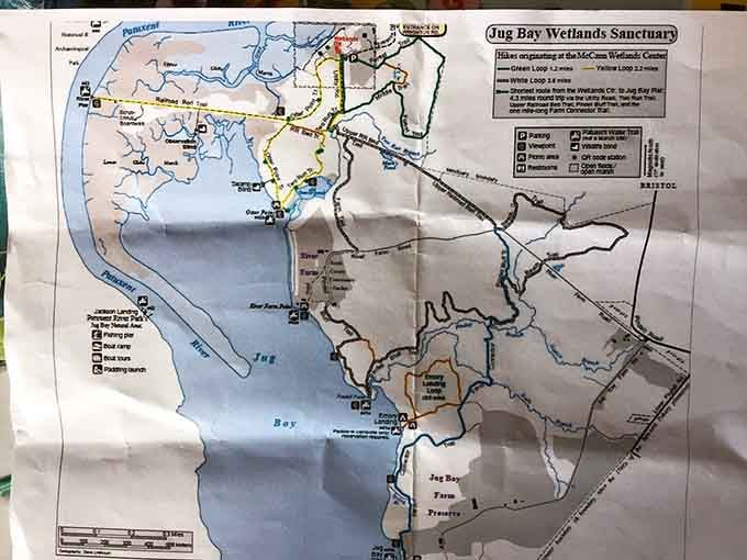 Trail maps guide adventurers through diverse ecosystems, ensuring nobody misses the sanctuary's hidden treasures.