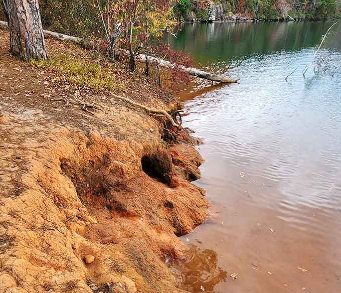 The shoreline where water meets land in that eternal dance that's been happening since forever.